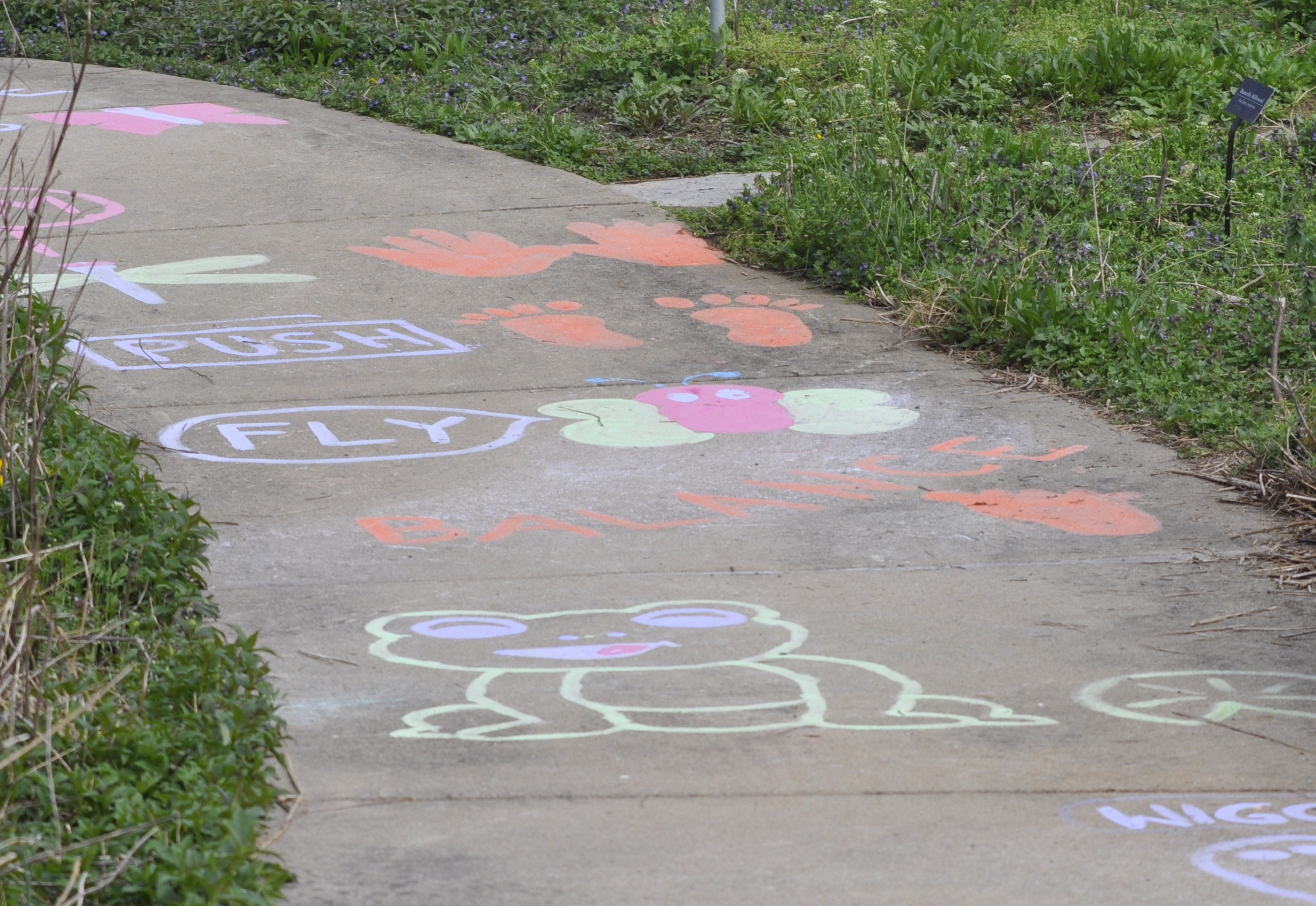Sensory-Friendly Sunday at the Nature Center (All ages) | Howard County