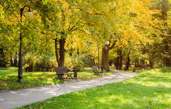 Howard County’s Great Outdoors Initiative (All ages) | Howard County