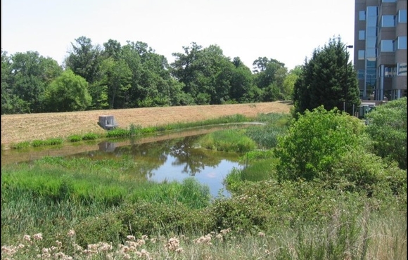 Bureau of Highways Mayfield Facility Stormwater Management Project to ...