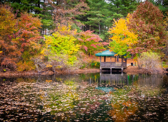 Recreation & Parks | Howard County