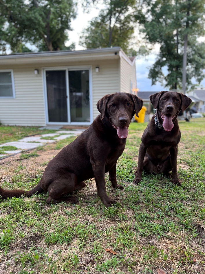 Profile: Firefighter Christina Rzepecki | Howard County